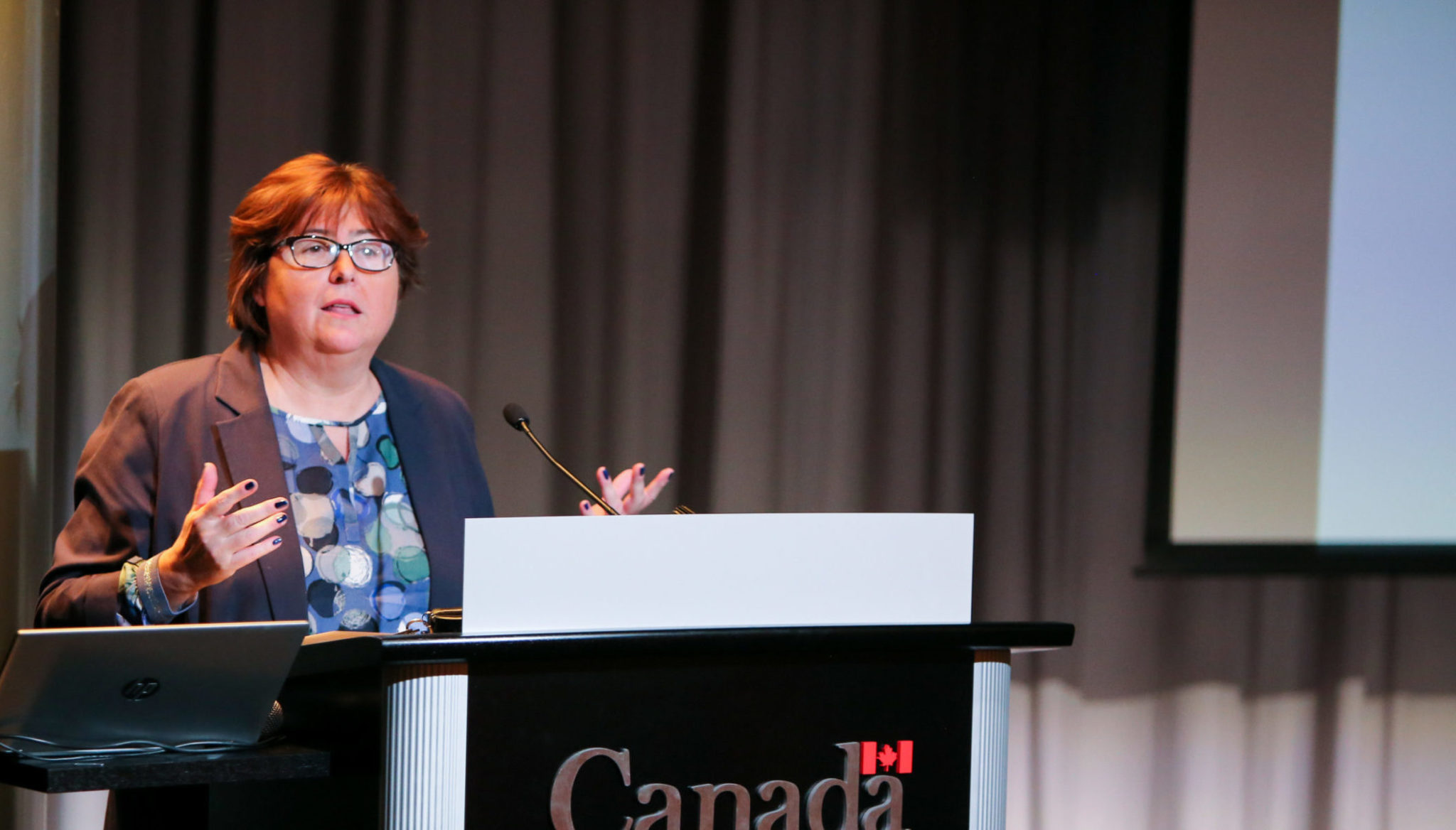 Author: Alina Mungiu-Pippidi | Journal of Democracy