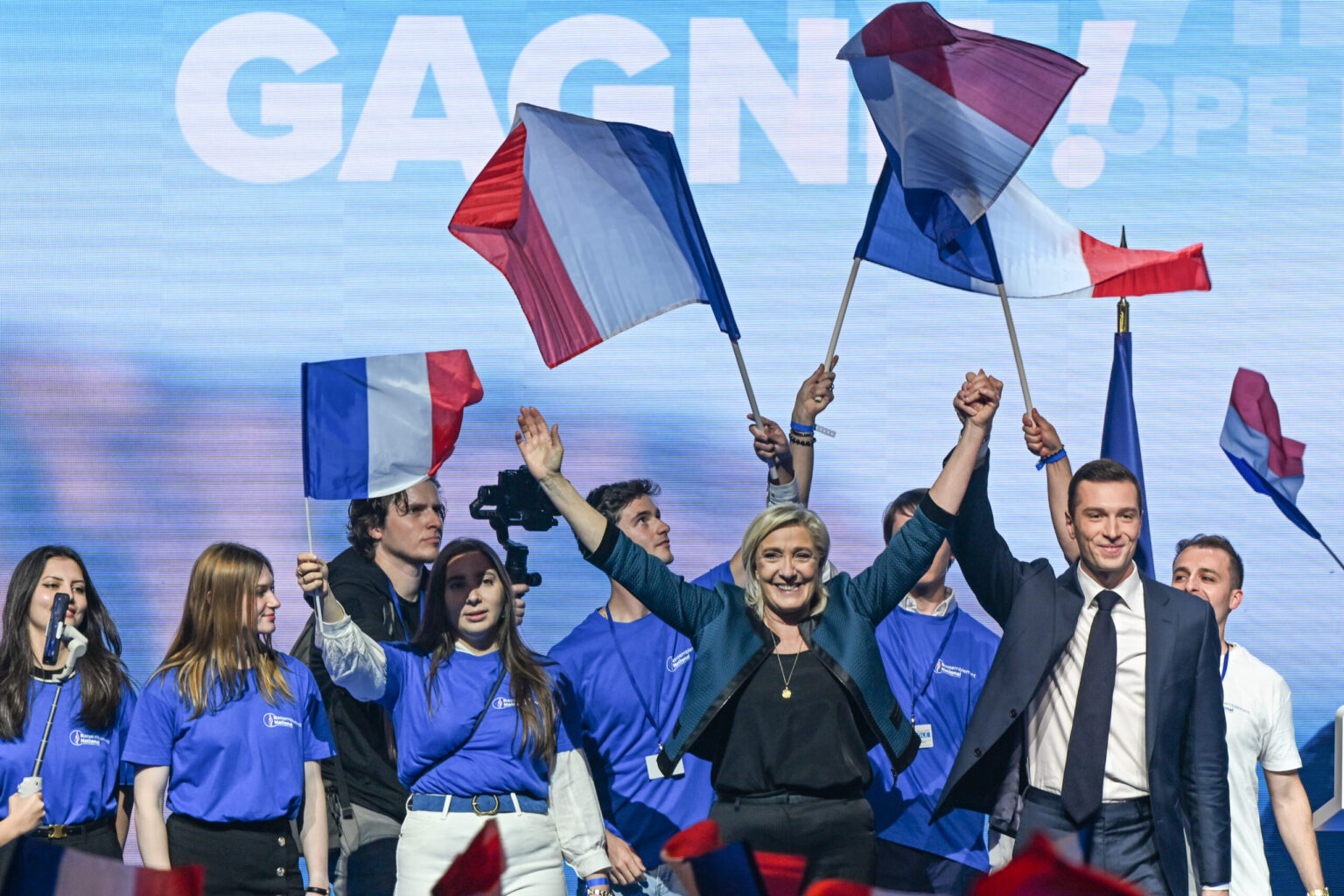 The 2024 EU Elections: The Far Right at the Polls | Journal of Democracy
